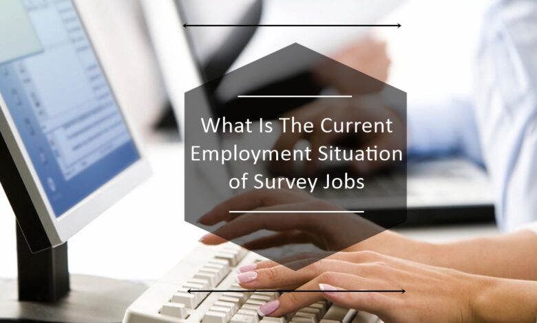 What Is The Current Employment Situation of Survey Jobs? - IMC Grupo