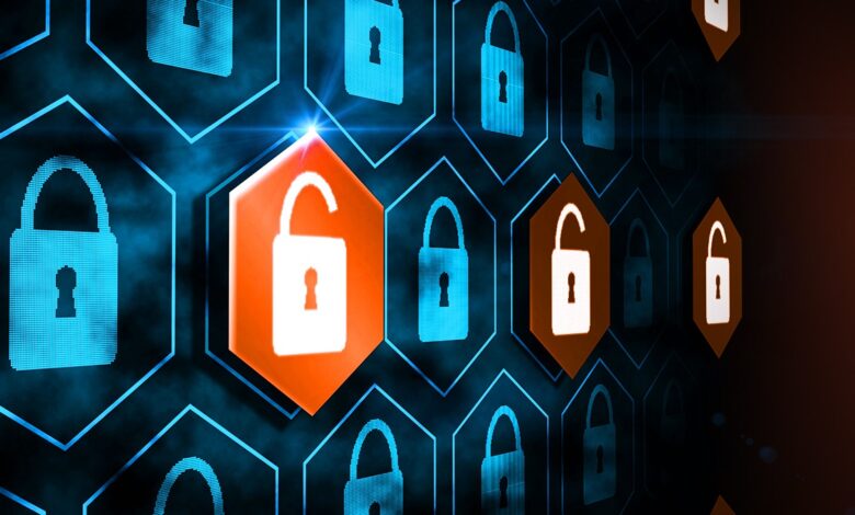 What Is Network Vulnerability Scanning And Why Is It Important? - IMC Grupo