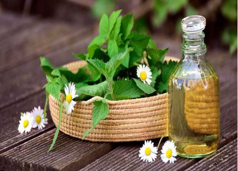 Best natural hair oil ingredients & it's uses for all hair types - IMC ...
