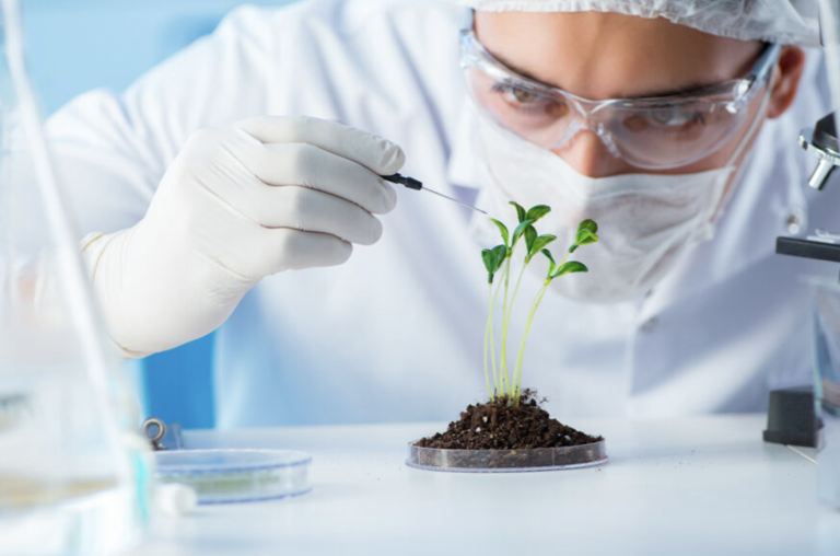 10 Application of Biotechnology that are Changing the World - IMC Grupo