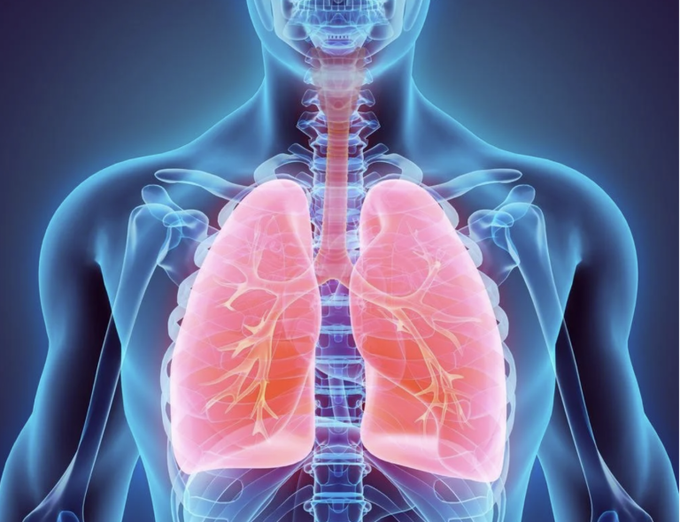 Exploring the Facts and Research of Inhalation Methods - IMC Grupo